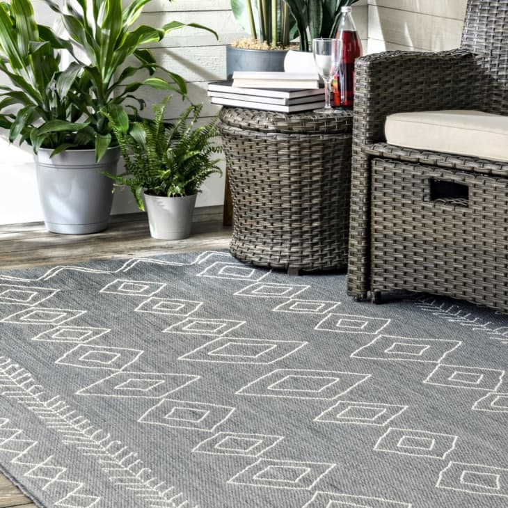5 Best Rugs for Pets - Top Dog-Friendly (and Cat-Friendly) Rugs ...