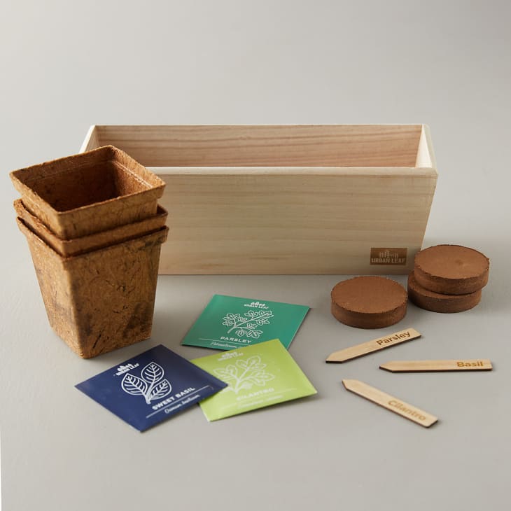 10 Herb-Growing Kits to Buy Online | The Kitchn