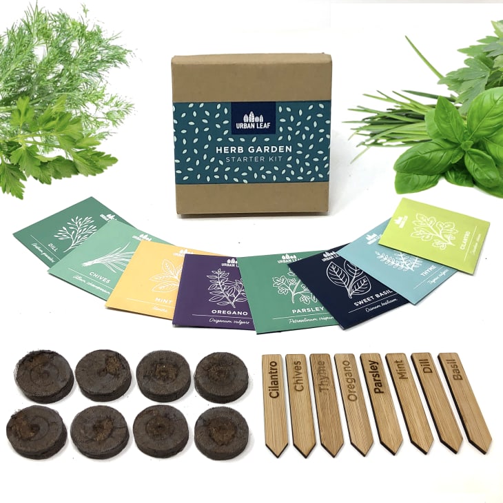 10 Herb-Growing Kits to Buy Online | The Kitchn