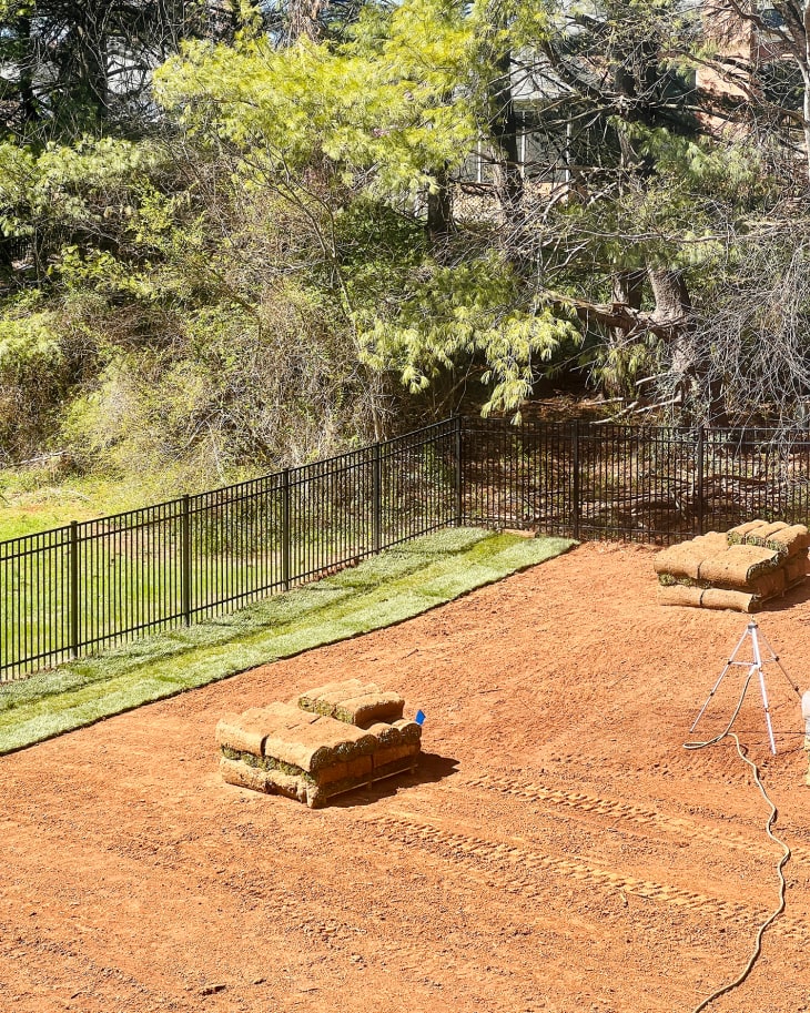 Re-Sodding the Backyard Has a Huge ROI | Apartment Therapy
