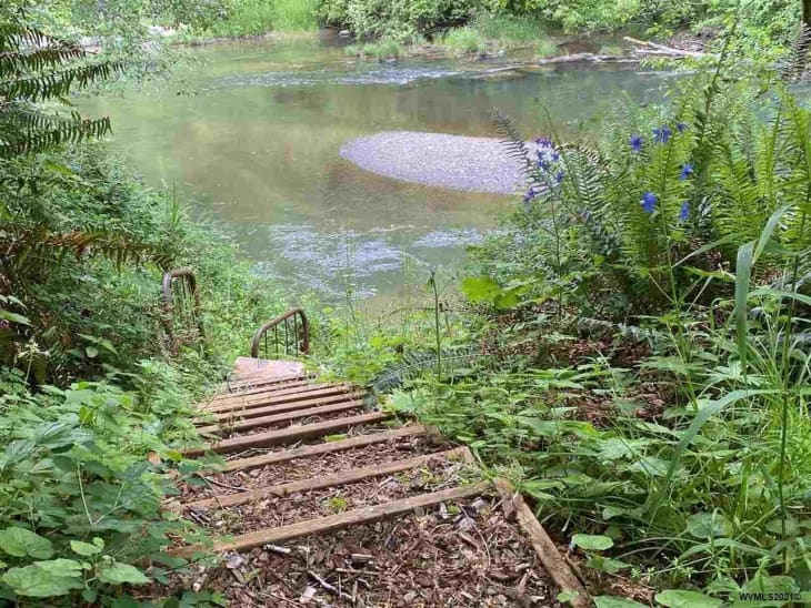 Home with Barrel Sauna — 27033 Cecil Lane, Alsea, Oregon | Apartment ...