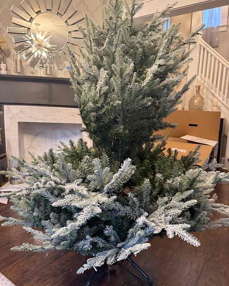 The Home Depot Grand Duchess Tree Is Absolute Perfection | Apartment ...