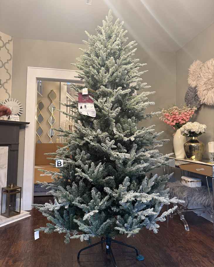 The Home Depot Grand Duchess Tree Is Absolute Perfection | Apartment ...
