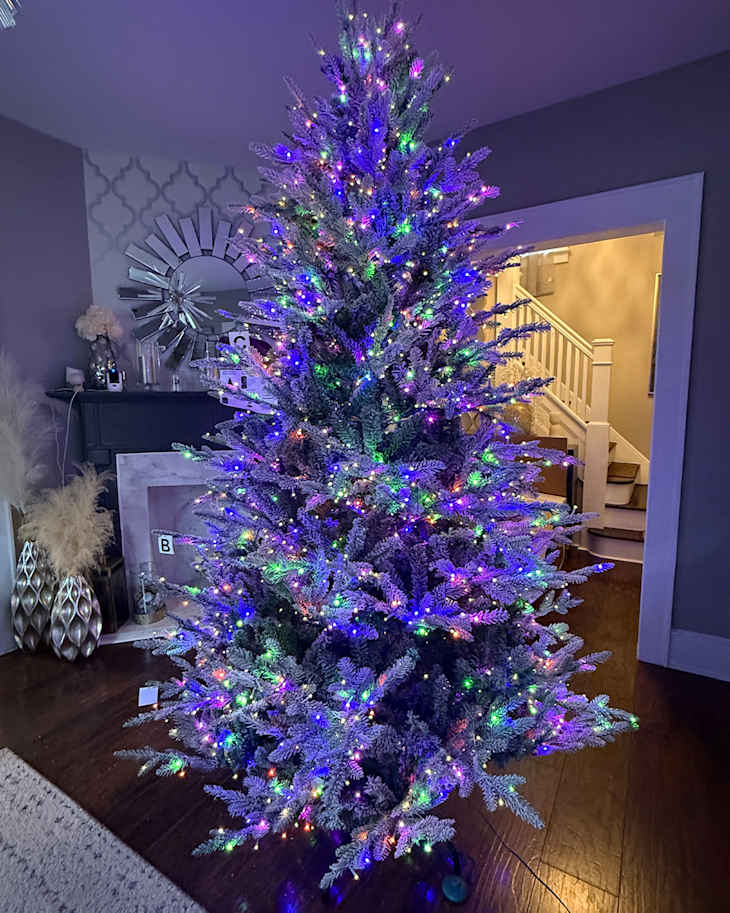 The Home Depot Grand Duchess Tree Is Absolute Perfection | Apartment ...