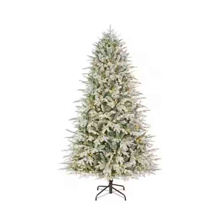 The Home Depot Grand Duchess Tree Is Absolute Perfection | Apartment ...