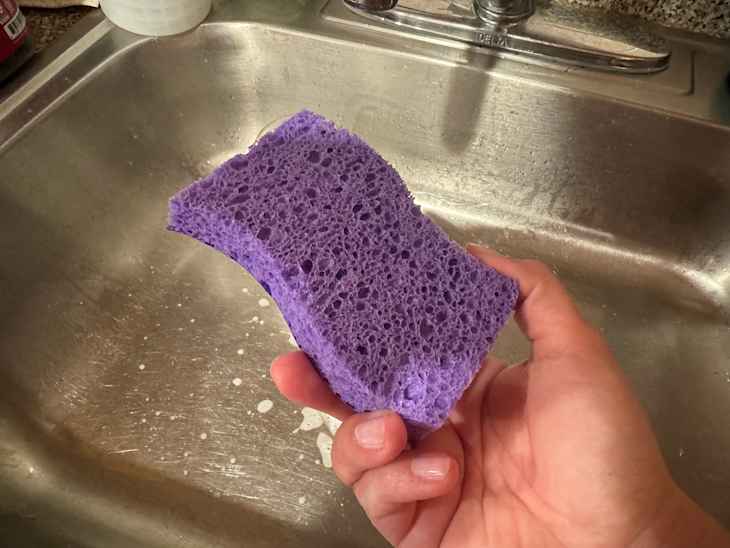 I Tried the Scotch-Brite Odor Resist Dish Sponge (Review) | Apartment ...