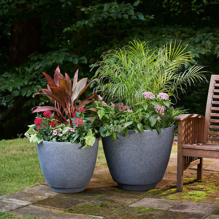 Where to Find Affordable, Large Planters | Apartment Therapy