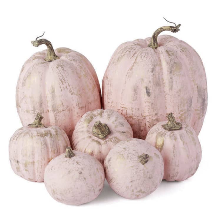 Pink Pumpkins - Pink Pumpkin Decorating Trend for Halloween | Apartment ...