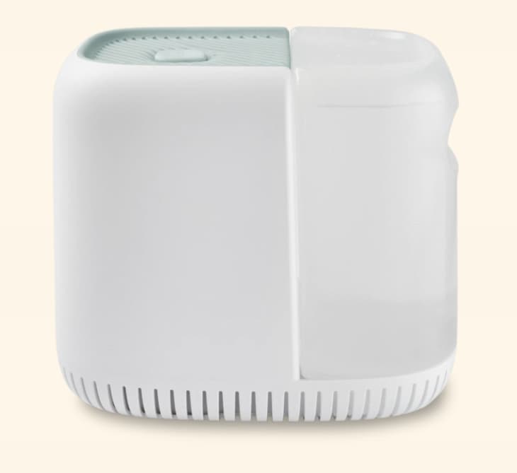 The Canopy Is an Instagram-Famous, Small Space Humidifier That Actually ...