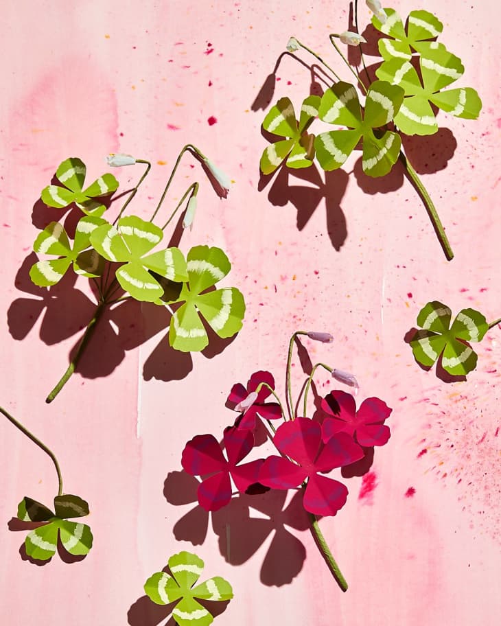 The New and Unexpected Home Decor Trend That Might Bring You Good Luck ...