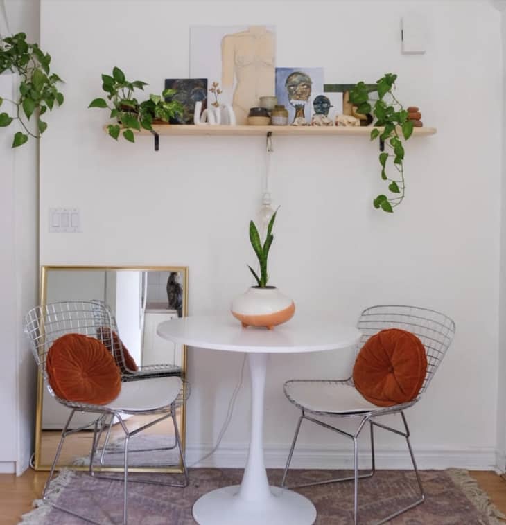 How to Keep Houseplants from Looking Cluttered | The Kitchn
