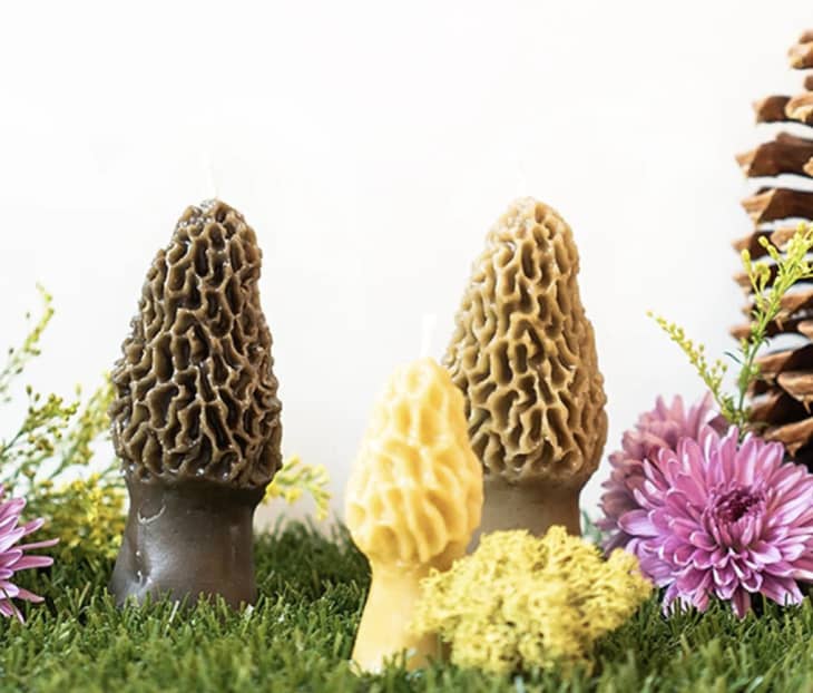 22 Mushroom Decor Pieces That Are Better For Fall Decorating Than ...