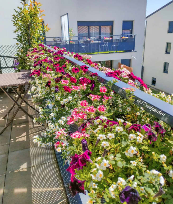 13 Best Balcony Ideas from Our House Tour Archives | Apartment Therapy
