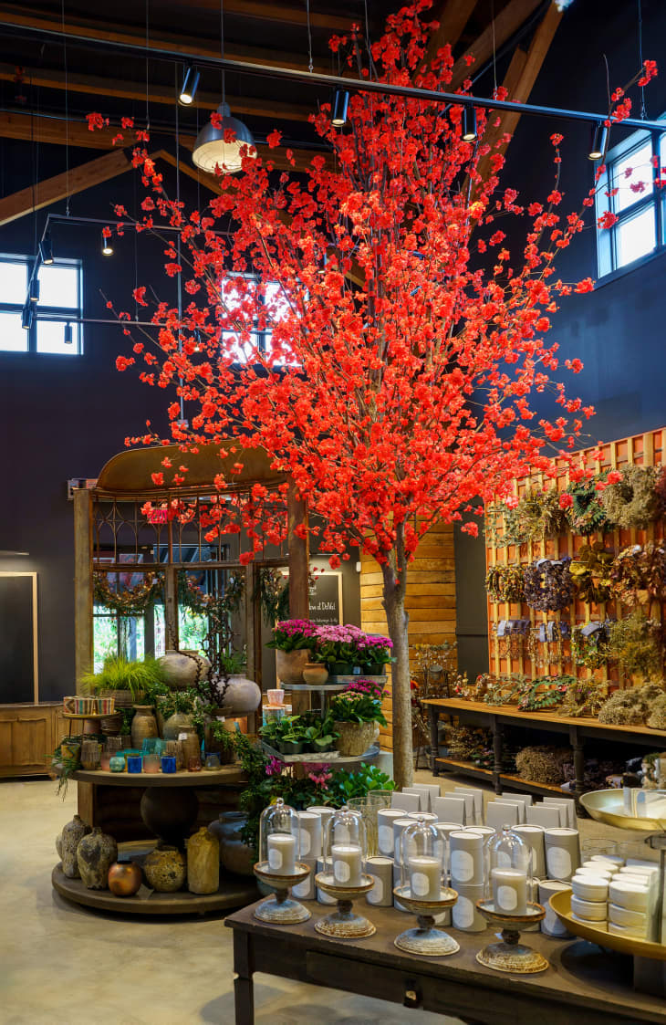Terrain’s New Store Has an Orchard, Decor, & Plants Galore | Apartment ...