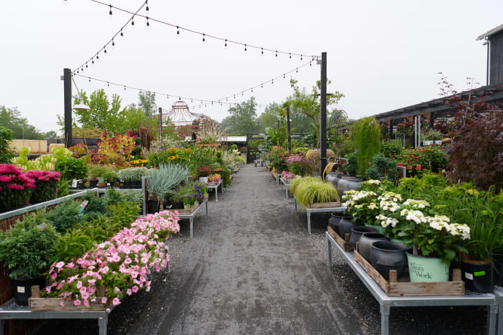 Terrain’s New Store Has an Orchard, Decor, & Plants Galore | Apartment ...