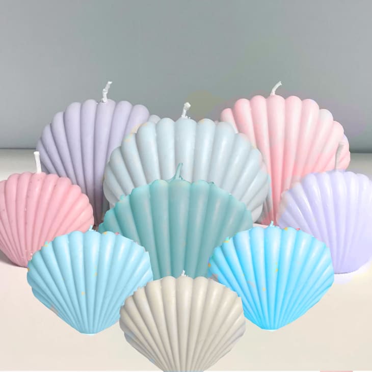 Clamshell Decor Is In — Here's What to Shop | Apartment Therapy