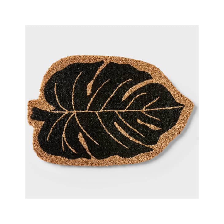 Hilton Carter’s Plant-Themed Target Collection Is Almost Here ...