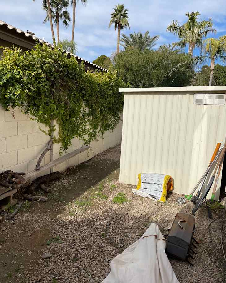 A Narrow Side Yard Becomes a Desert Oasis | Apartment Therapy