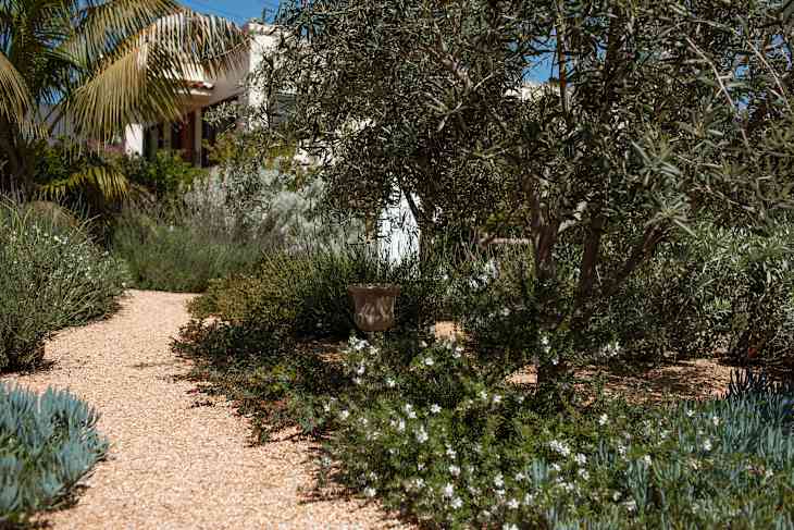 Why Americans Are Ditching Lawns and Firepits, According to New Data ...