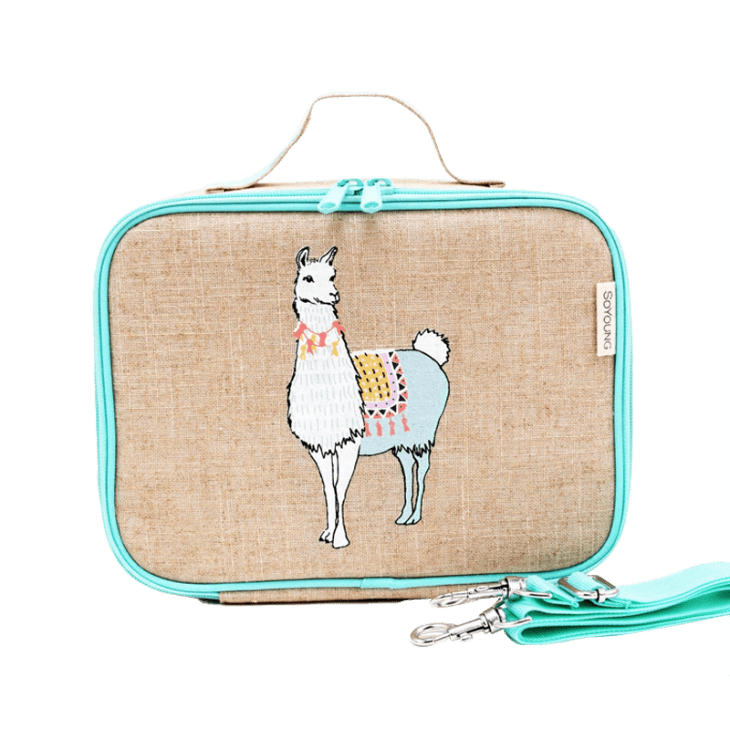 9 Lunch Boxes and Bags That Work Too Well to Be This Cute | Cubby