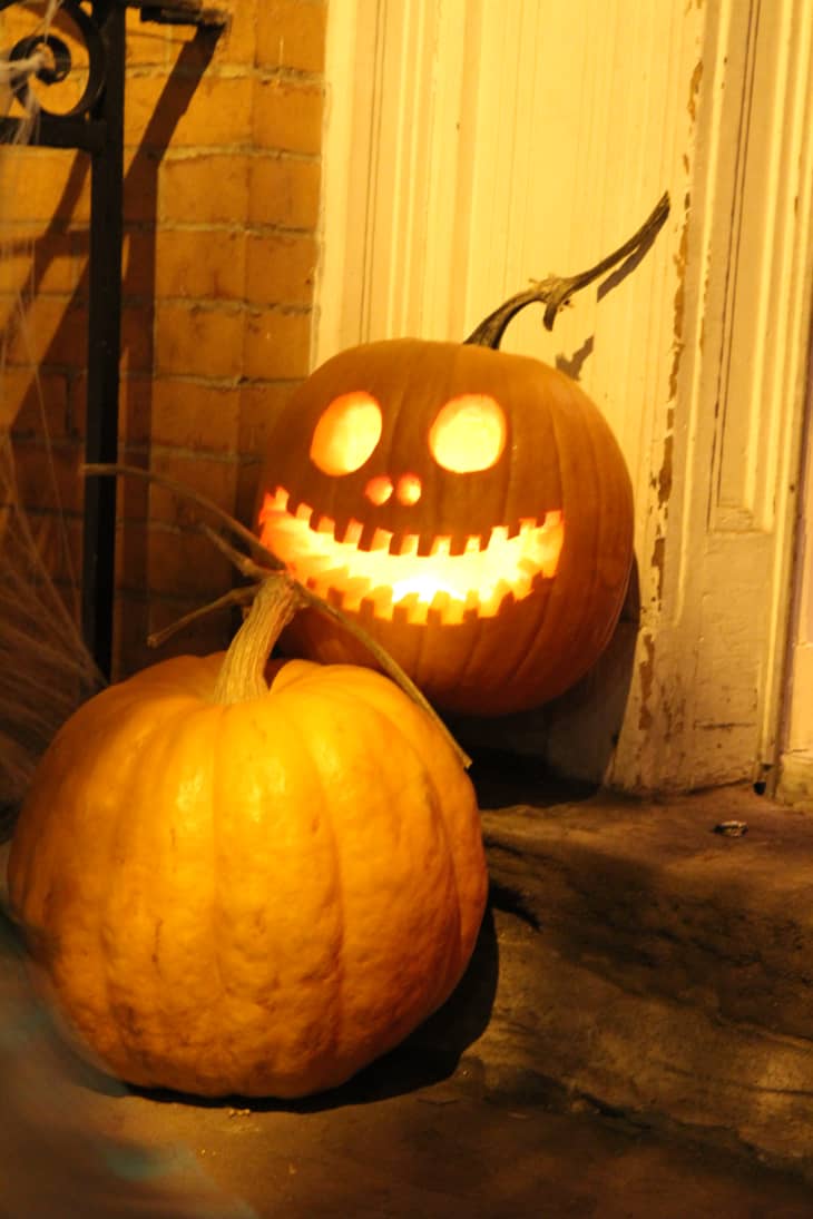 Ask Maxwell: Best Halloween Candy … Like, Ever? | Cubby