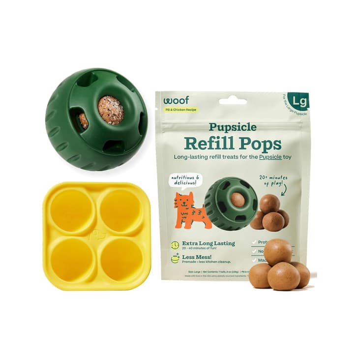Why My Dogs Love the Woof Pupsicle: My Honest Review | The Kitchn