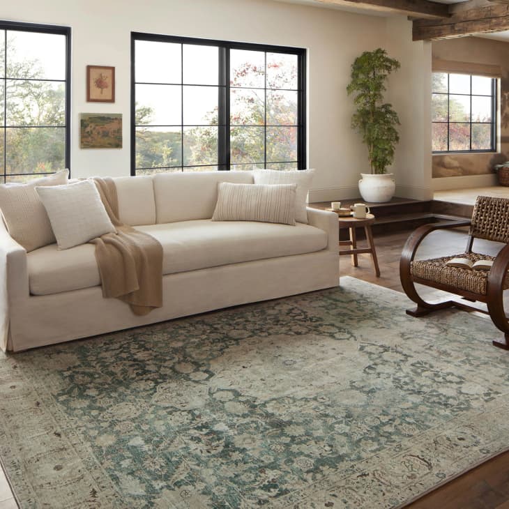 Magnolia Home's Sinclair Rug Gave My Apartment a Vintage Vibe for Less ...