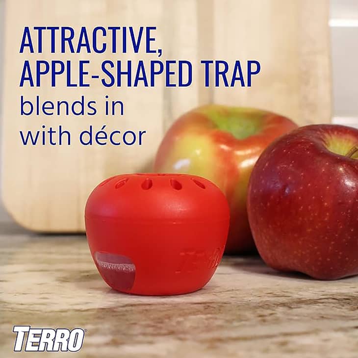 The Terro Fruit Fly Trap Eliminated the Flies in My Apartment ...