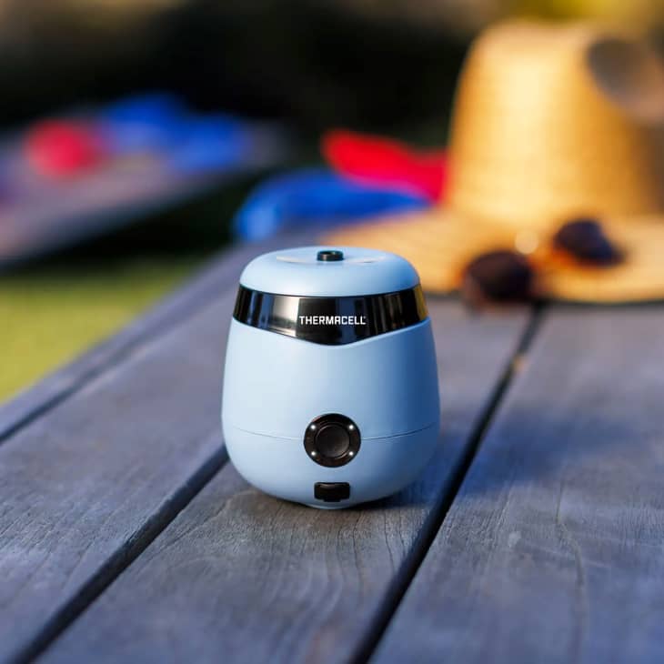 Thermacell's Mosquito Repellent Is 25% Off This Prime Day | The Kitchn