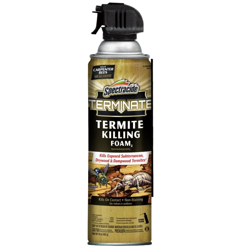 11 Home Pest Solutions Guaranteed to Keep Bugs and Rodents Away | The ...