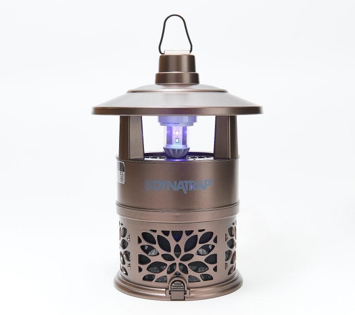 10 Best Outdoor Insect Traps 2023 | The Kitchn