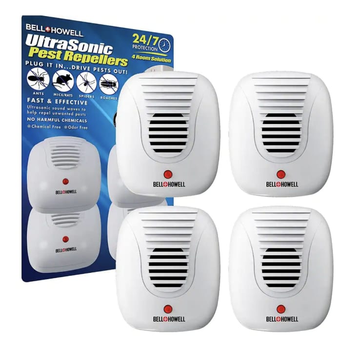 11 Home Pest Solutions Guaranteed to Keep Bugs and Rodents Away | The ...