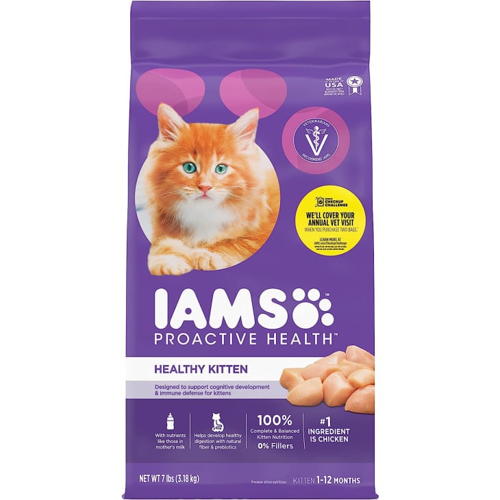 Best Adult Cat And Kitten Food Brands According To A Vet Apartment