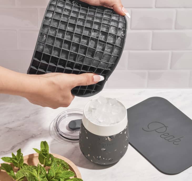 Why I Love The W&P Silicone Pebble and Crushed Ice Cube Trays | The Kitchn