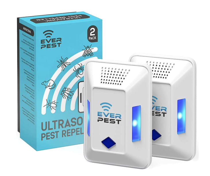 11 Home Pest Solutions Guaranteed to Keep Bugs and Rodents Away | The ...