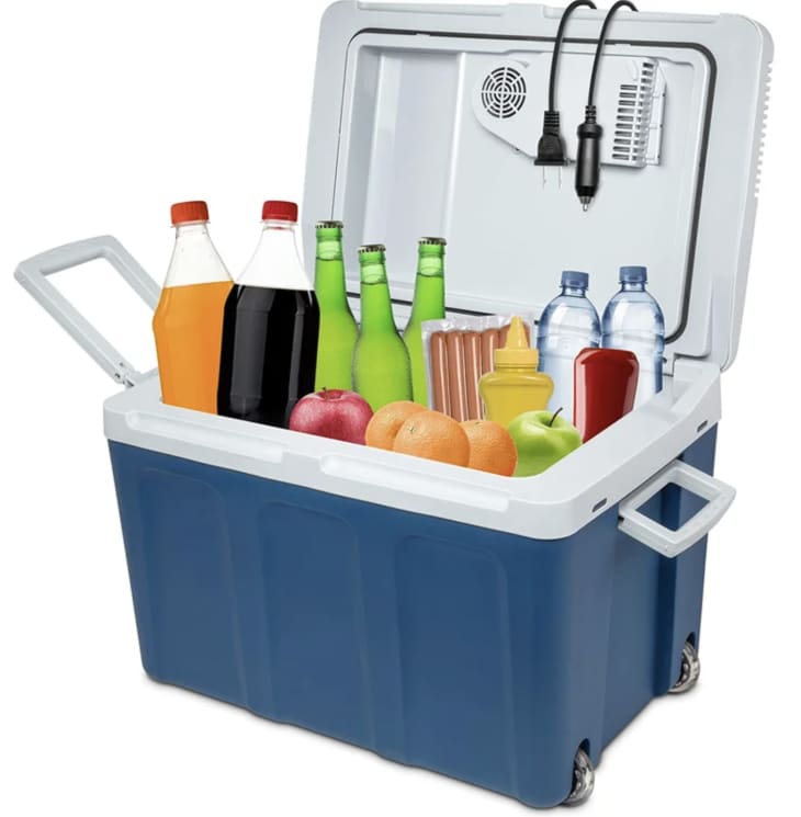 Best Portable Fridges for Cars, Campers, and Other Small Spaces | The ...