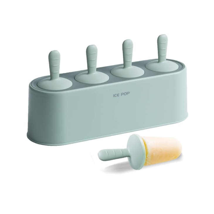 Shoppers Are Buying This $16 Popsicle Maker in Multiples | The Kitchn
