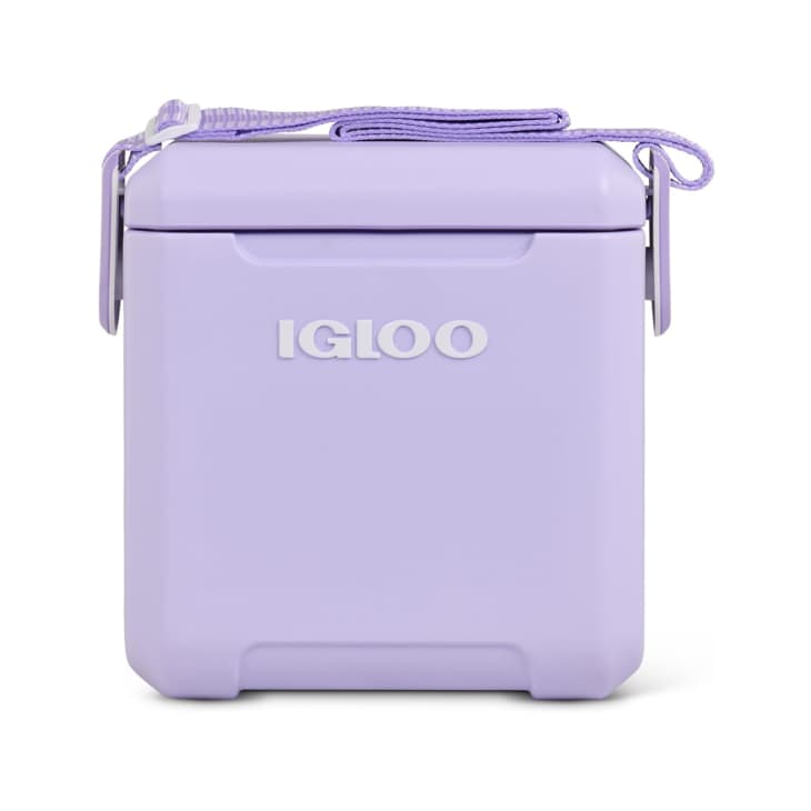 Best Coolers for Traveling and Entertaining: Tried & Tested | The Kitchn