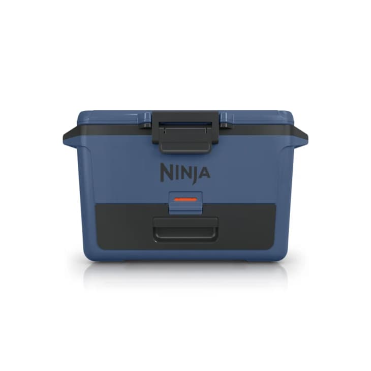 Best Coolers for Traveling and Entertaining: Tried & Tested | The Kitchn