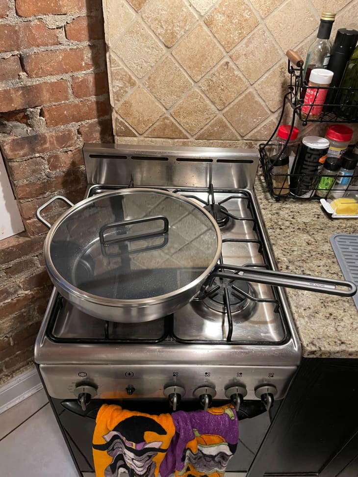 Essential Stanley Pan: Tried & Tested | The Kitchn