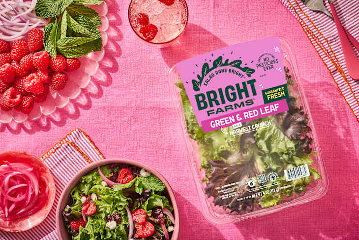 I'm a Salad Freak, and I Can't Stop Eating This Brand of Fresh Greens ...