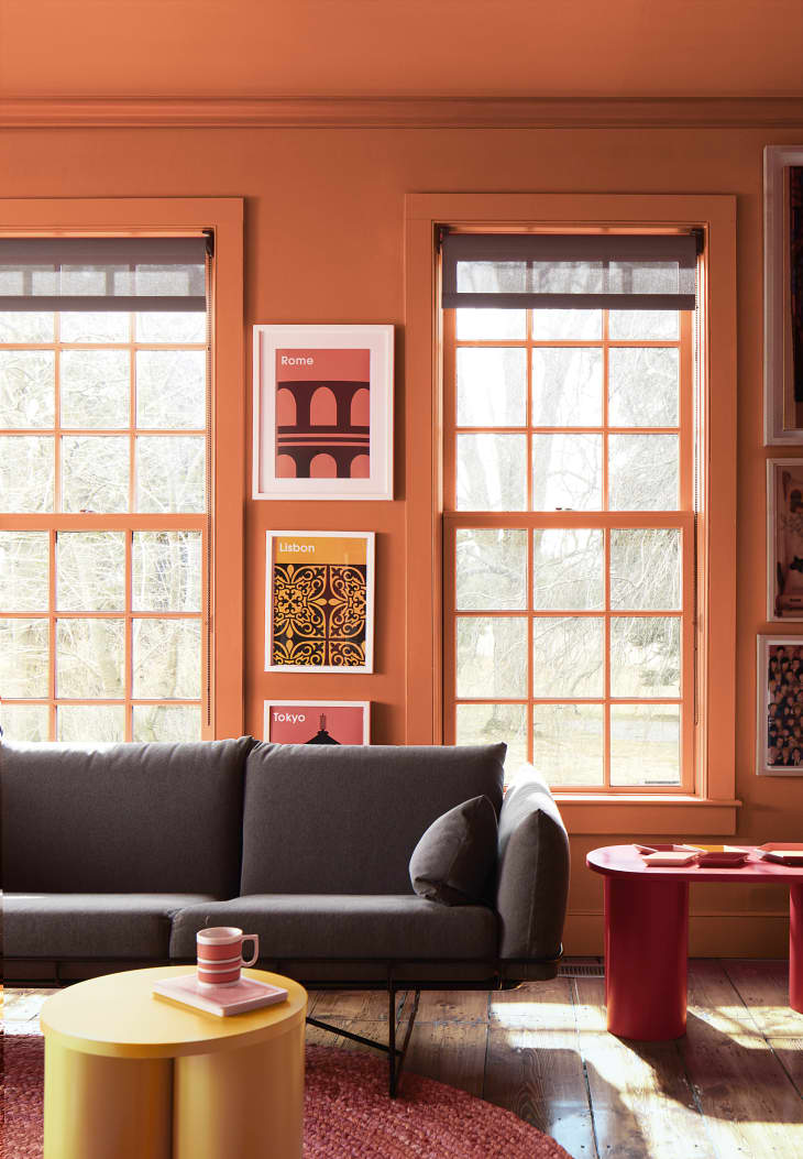 10 Paint Colors That Will Be Big in 2024, According to Benjamin Moore's ...