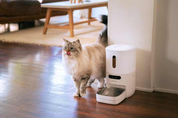 This Automatic Feeder Is the Best Item a Busy Pet Parent Can Buy ...