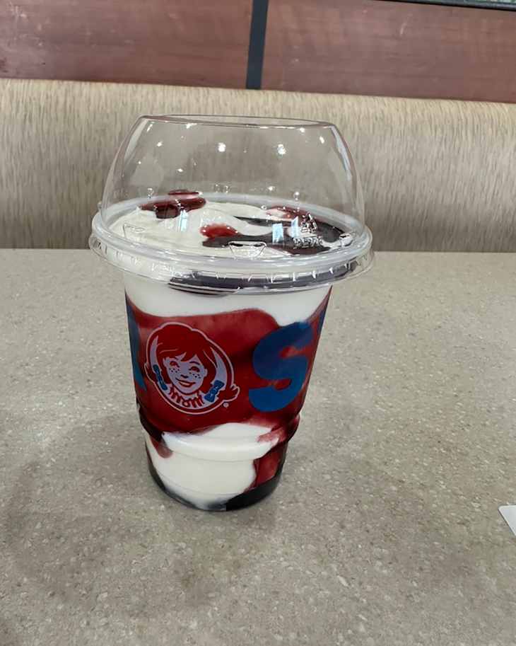 I Tried Wendy’s “Wednesday” Meal & This Dip Is the Star | Dorm Therapy