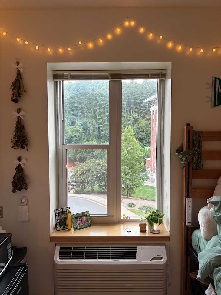 See How A Sophomore Decorated His Room with Natural Colors | Dorm Therapy