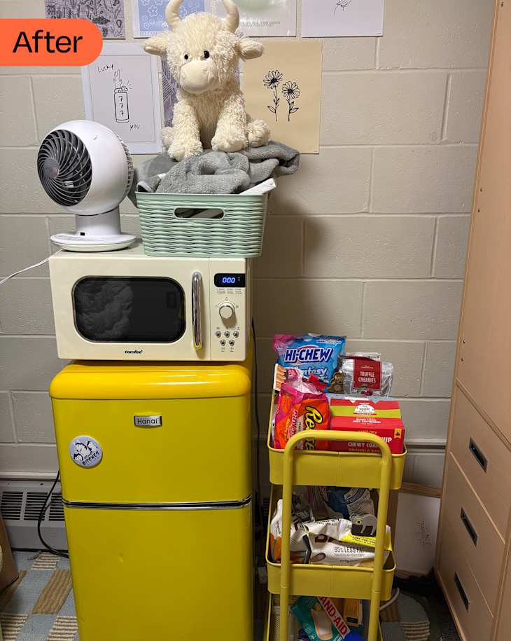 8 Pro Tips for Organizing a Dorm Mini Fridge and Food Area | Dorm Therapy