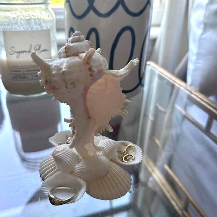 This Coastal-Inspired Jewelry Holder Doubles as Decor | Apartment Therapy
