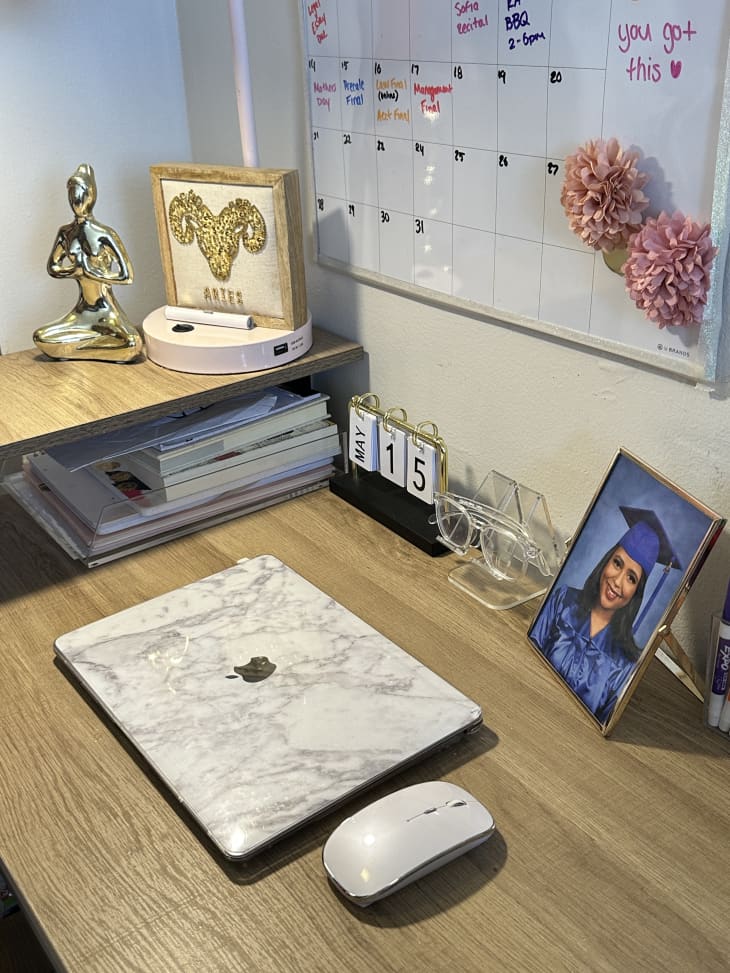 Tour This SUNY Oneonta RA's Organized Single Dorm Room | Dorm Therapy