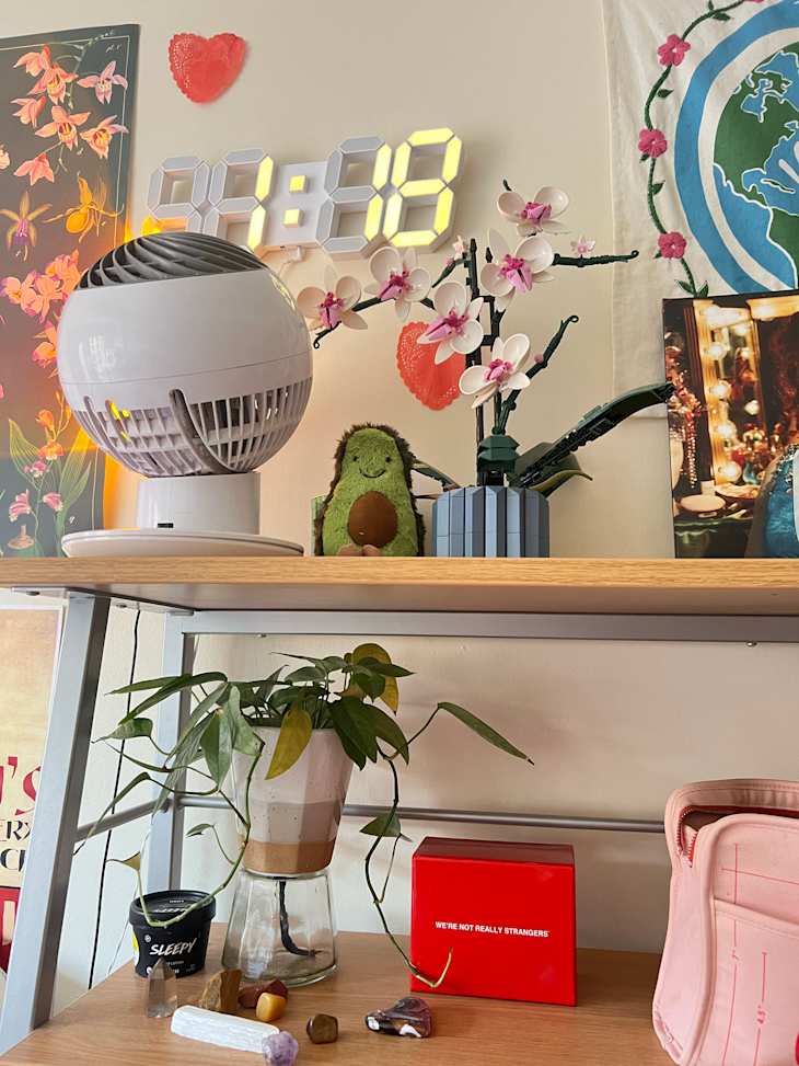 See an Ohio State Sophomore’s Boho, Maximalist Dorm Room | Dorm Therapy