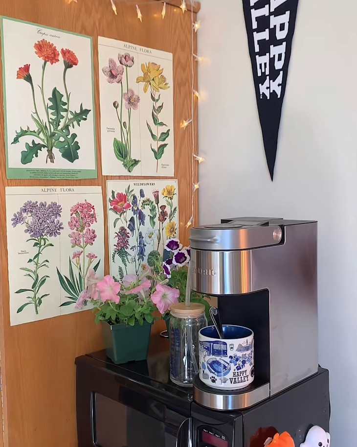 The 45 Best College Dorm Essentials (Trust Me, I Was an RA) | Dorm Therapy